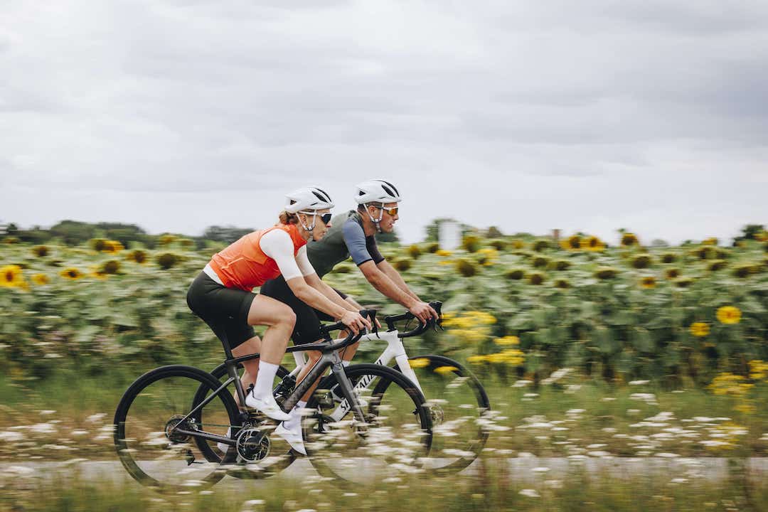 Specialized Road Bikes | Motion Makers Bike Shop | Asheville & Sylva